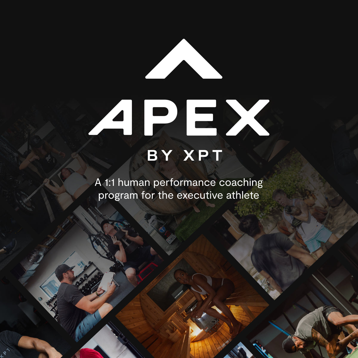 The Apex Program by XPT